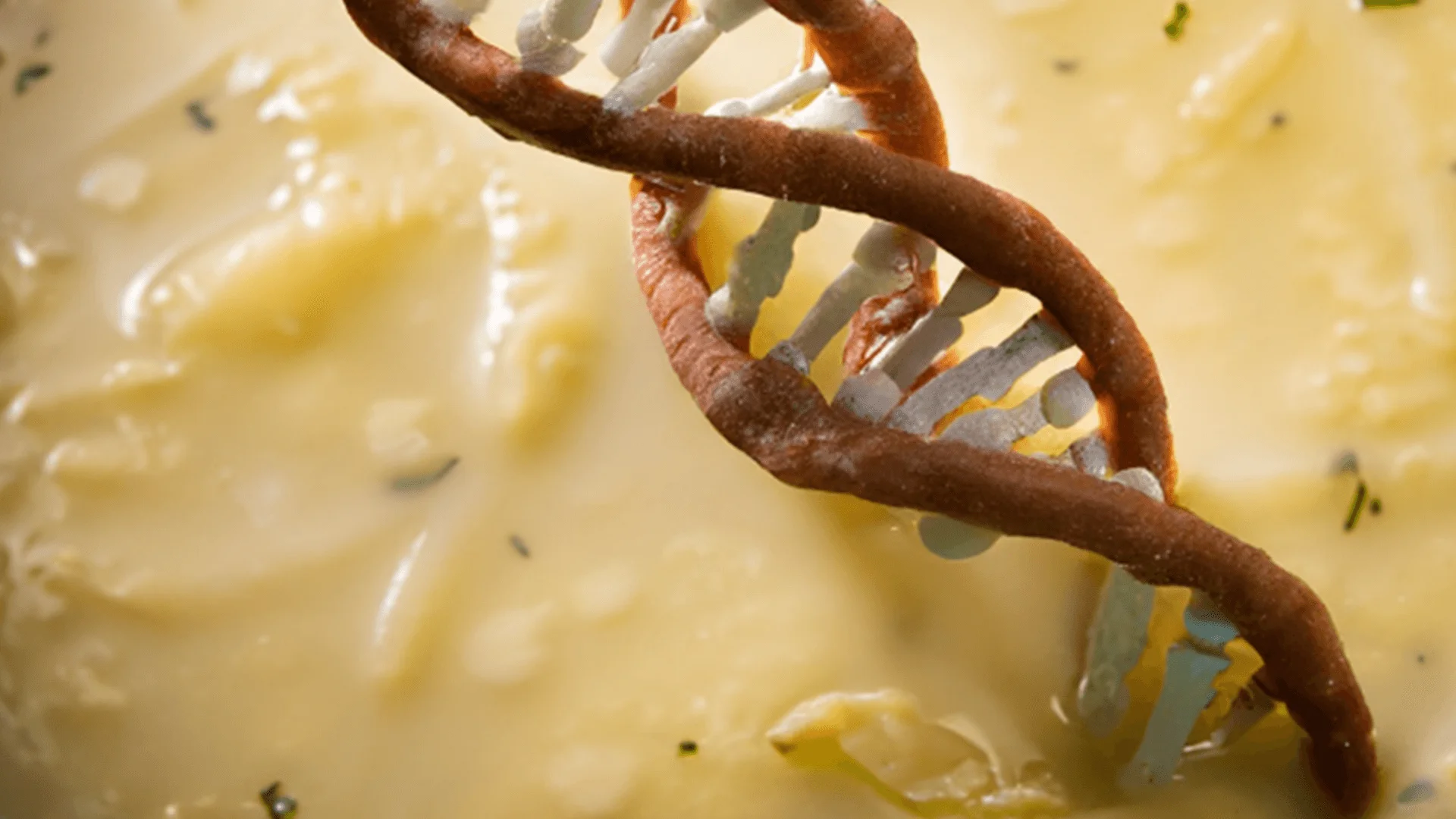 Buy Premium Recipes - Courtenay Hachey